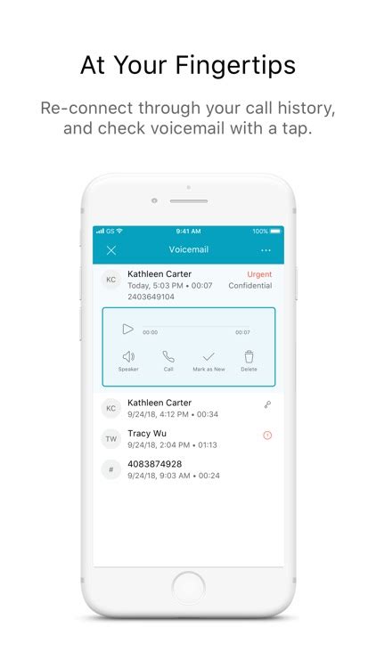 Webex Calling By Cisco