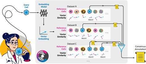 What Is Cellarium Cell Annotation Service Cas