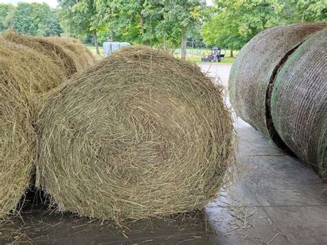 2 Round Bales 1st Orchard Grass Mix 4x4 Rogers Community Auction Inc