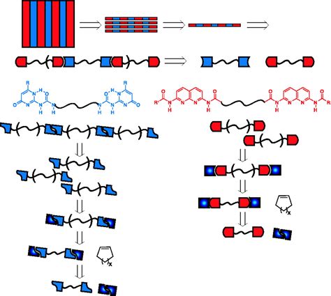 Olefin Metathesis And Quadruple Hydrogen Bonding A Powerful