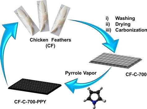 Systematic Representation Of The Environmental Recycling And Synthesis