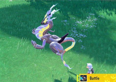 146 Best Miraidon Images On Pholder Pokemon Scarlet Violet Mand Jtv And Ptcgl