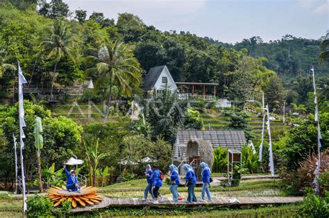 Wisata Di Kawasan Persawahan Antara Foto