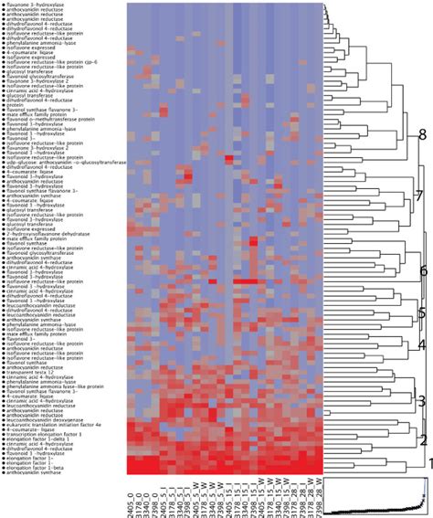 Hierarchical Clustering Of The Gene Expression Of A Subset Of The