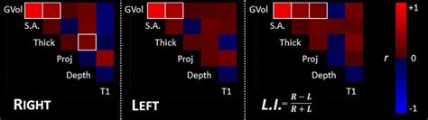 Upper Triangular Of The Correlation Matrix For The Six Measurements Of