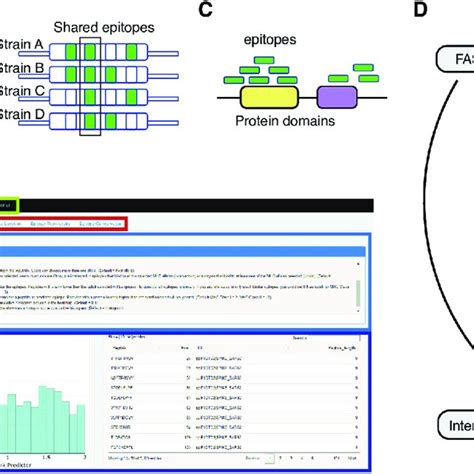 Schematic Representation Of Characteristics Of Predicted Epitopes And Download Scientific