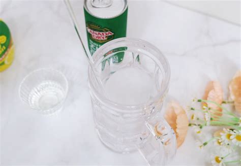 진저에일 하이볼 만드는법 산토리 수이진 도수 위스키 하이볼 추천 홈 칵테일 만들기 네이버 블로그
