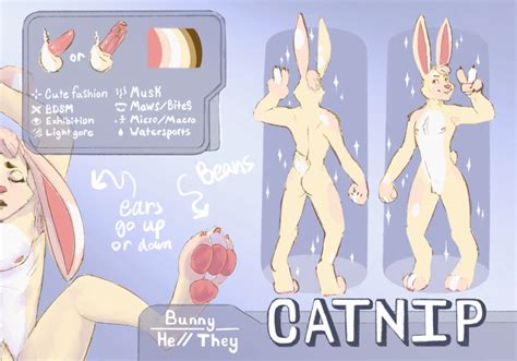 Rule 34 Animal Genitalia Animal Penis Anthro Bondage Catnip