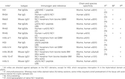 Table 1 from A Human Mouse Chimera of the α3α4α5 IV Collagen Protomer