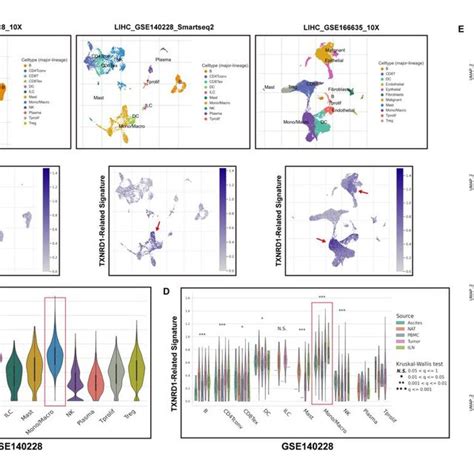 sc rna sequencing of the malignant liver cell and differentially