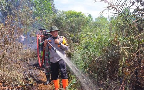 Polres Rohil Bergerak Tangkap Dua Pembakar Lahan