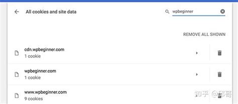 如何设置、获取和删除 Wordpress Cookie（像专业人士一样） 知乎