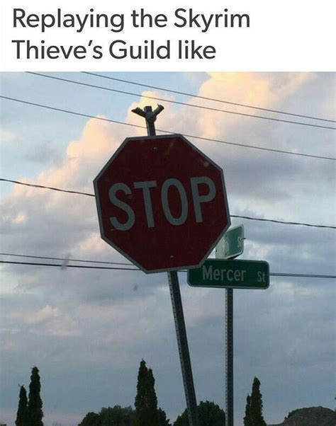 Pin By Sprinkle Apocalypse On Geekery Skyrim Elder Scrolls Memes