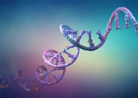 Data Science For Bio