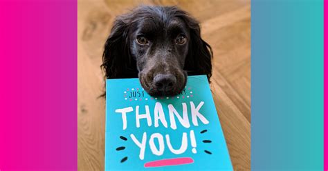 Dont Make This Networking Mistake Avarah Careers