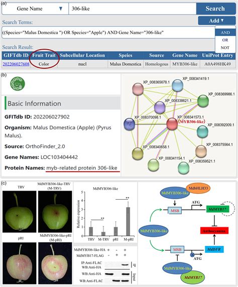 Tdb A Useful Gene Database For Plant Fruit Traits Improving Liu