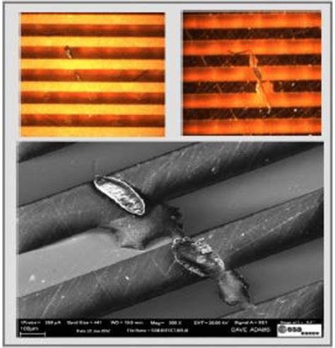 Copper Migration Along Fiber Contamination Left Top View Above The Download Scientific Diagram