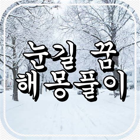 눈길 꿈 해몽풀이 눈길을 걷는 꿈자전거를 타는넘어지는 꿈버스를사고를 당하는 미끄러운운전하는차로이성을눈길을 달리는 꿈