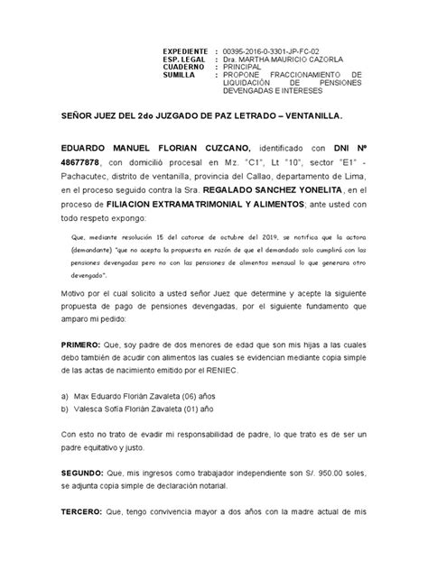 Propuesta De Liquidacion De Pensiones Devengadas Pdf Pensión