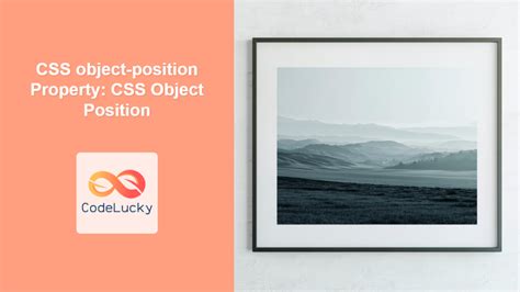 Css Object Position Property Css Object Position Codelucky
