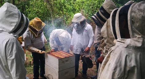 Mujeres Emprenden Proyecto Apícola Agrodiario