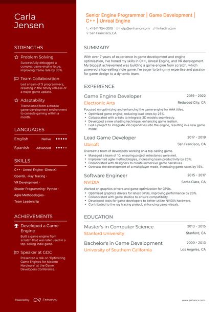 Programmer Resume Examples Guide For