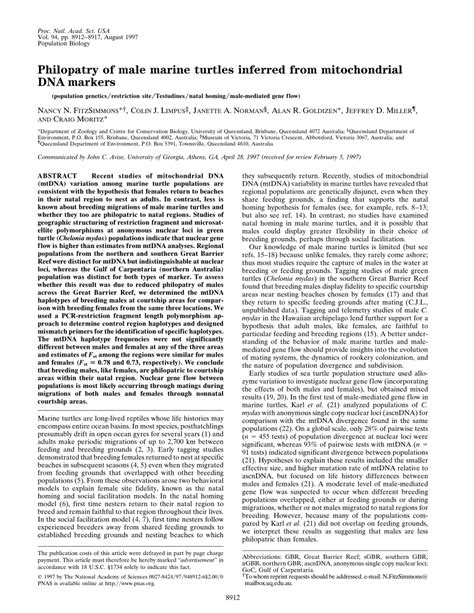 Pdf Philopatry Of Male Marine Turtles Inferred From Mitochondrial Dna Markers