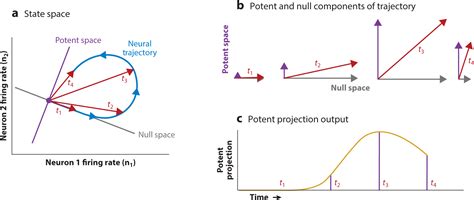Computation Through Neural Population Dynamics Pmc