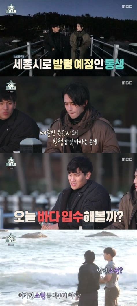 호적메이트 육준서x육준희 일출→바다 입수 허세 가득 네이트 연예