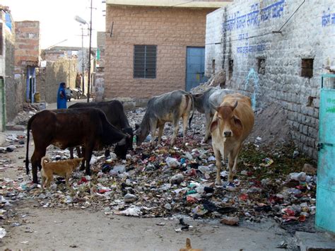 Urban Sanitation In India Past Present And Future Archdaily