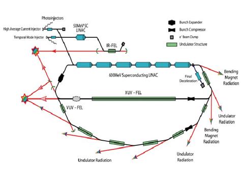 The Proposed 4GLS System At Daresbury Laboratory For Fourth Download Scientific Diagram