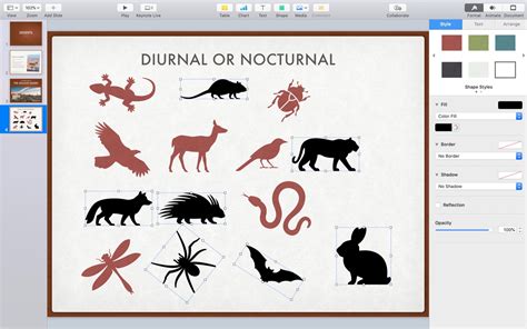 Keynote Insert Photos And Shapes · Alludo