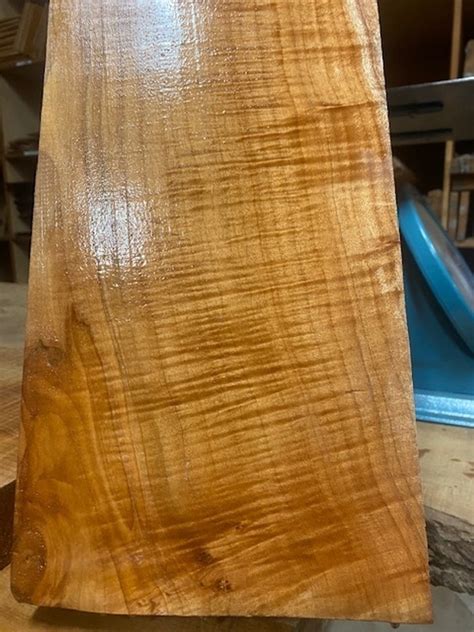Western Big Leaf Maple Fiddleback Guitar Billet G Rmpb Global Wood Source