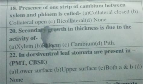 18 Presence Of One Strip Of Cambium Between Xylem And Phloem Is Called