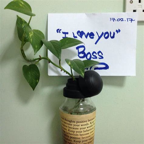 Sa Puso Ng Boss Ko