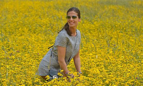 Beautiful Colours Simply Mathilda