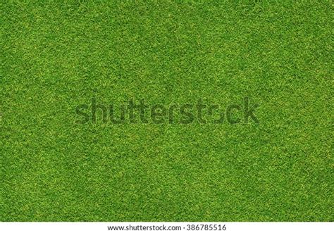 Seamless Green Grass Texture