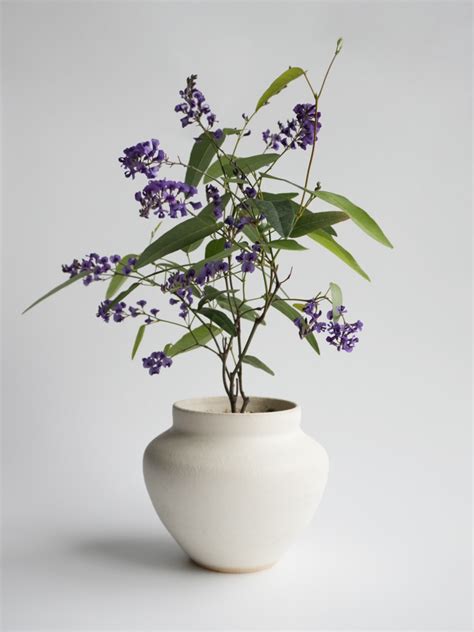 식물과 화분 보라싸리 모래알 Moraeal