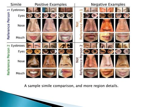 ppt describable visual attributes for face verification and image