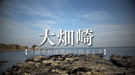 まるでダンゴムシ⁉ウオノエとは？釣り人が知っておくべき寄生生物の正体 いそぎんぽ