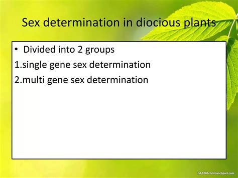 Sex Determination In Plants Pptx Reproductive Health Diseases And