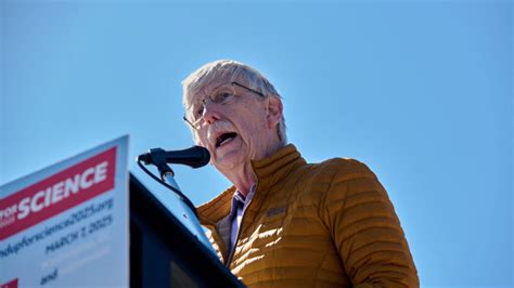 Former Nih Director Francis Collins Worries For His Safety Stat