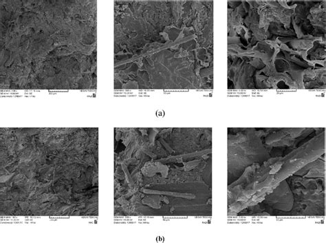 The Morphological Structure Of Bfrp Composites A Bfrp 40 B Bfrp 30