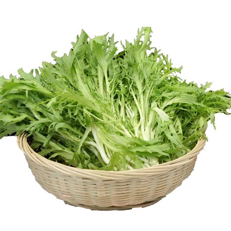 浆水天水甘肃特产天水酸菜苦菊苦曲蒲公英浆水野菜引子6包包邮 虎窝淘