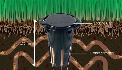 How Termite Bait Stations Work · Clean And Green Pest Control Northern