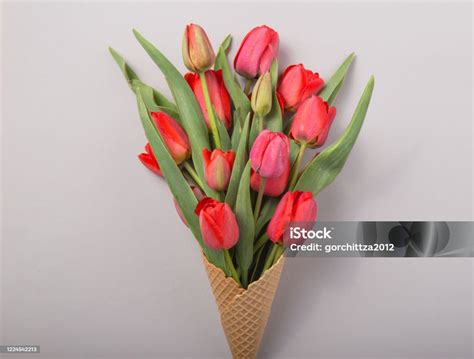 카드와 아이스크림 와플 콘에 빨간 아름다운 튤립 콘크리트 배경에 당신을 안녕하세요 꽃 선물의 개념 적 아이디어 봄 분위기 개념에