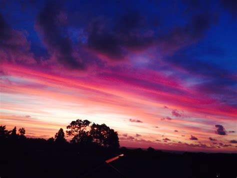 Sexpo Rated PowerPoint Freelance Writer Memoir Mentor