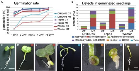 Native Seed Temperature Chart
