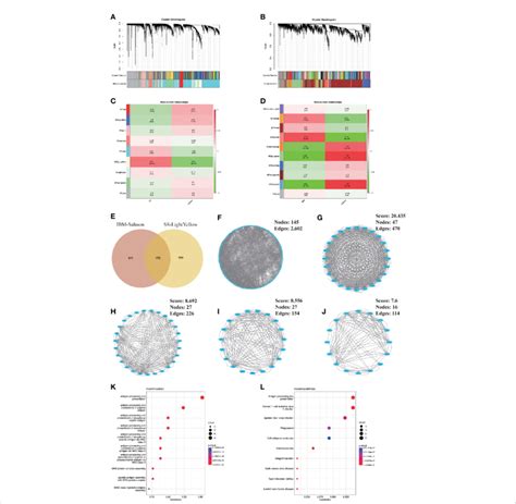 Identification And Analysis Of Shared Gene Signatures In Ss And Ibm Via