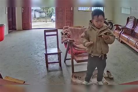 没有监控都不知道脾气也能这样发监控监控脾气不知道